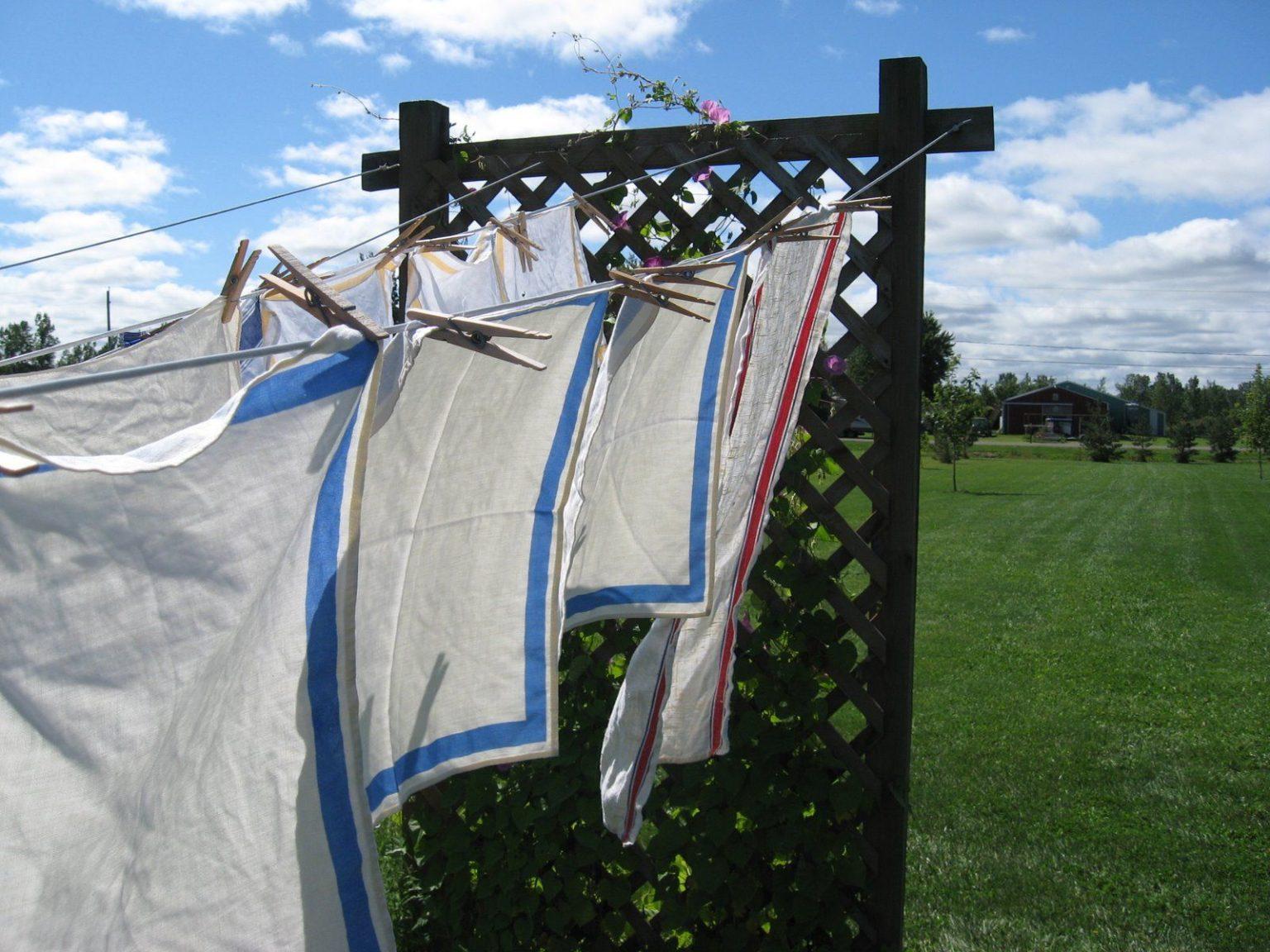 5 Creative And Designer Clothesline Ideas | Junk Container Service Group