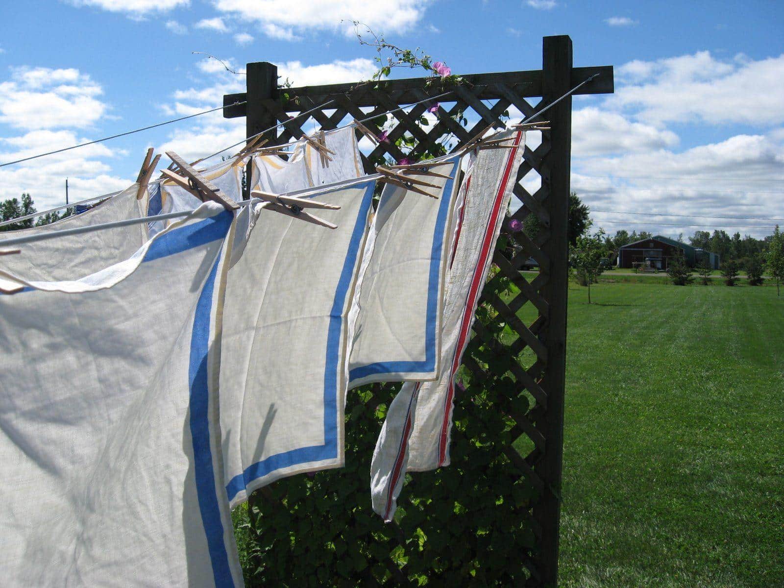5 Creative And Designer Clothesline Ideas | Junk Container Service Group